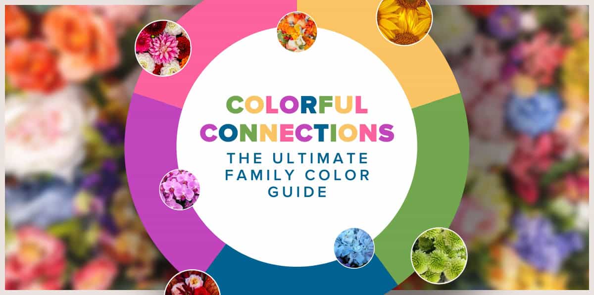 A Guide to Choosing the Right Flower Hues for Every Family Member ...