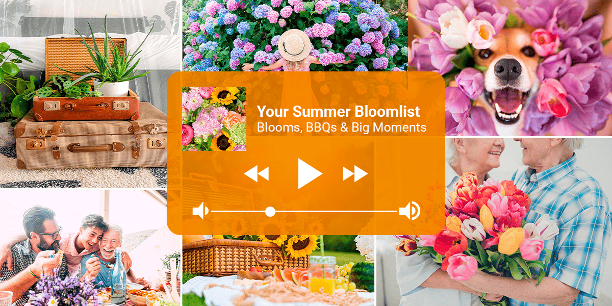 Soak Up the Stems: A Sunny Playlist for Plant & Flower Fans Everywhere ...
