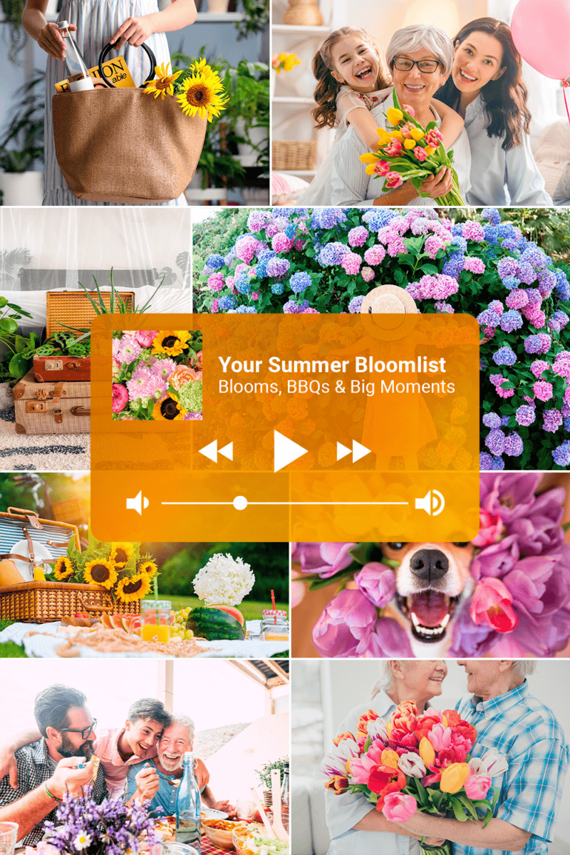 Soak Up the Stems: A Sunny Playlist for Plant & Flower Fans Everywhere ...